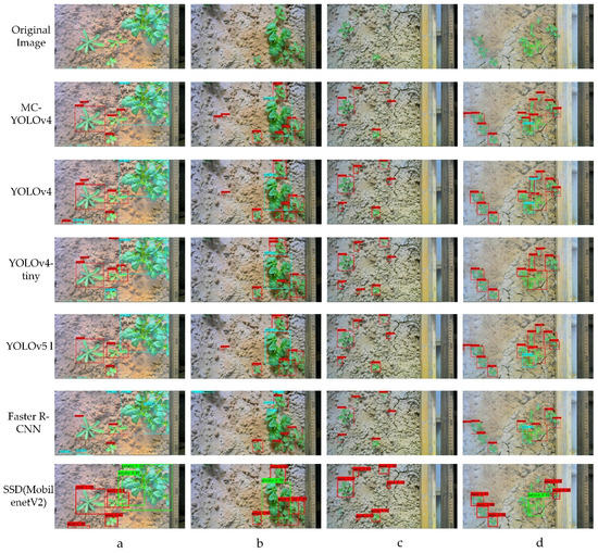 Weed Detection in Potato Fields Based on Improved YOLOv4: Optimal Speed ...