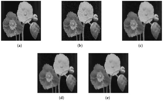 Accelerated Chambolle Projection Algorithms for Image Restoration