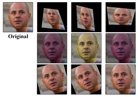 Efficient Vision-Based Face Image Manipulation Identification Framework ...