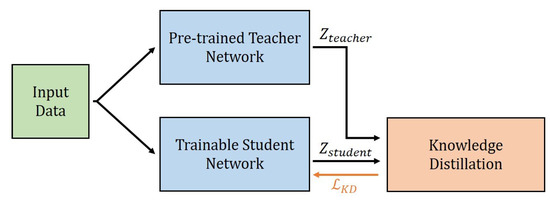 Knowledge Distillation for Image Signal Processing Using Only the ...