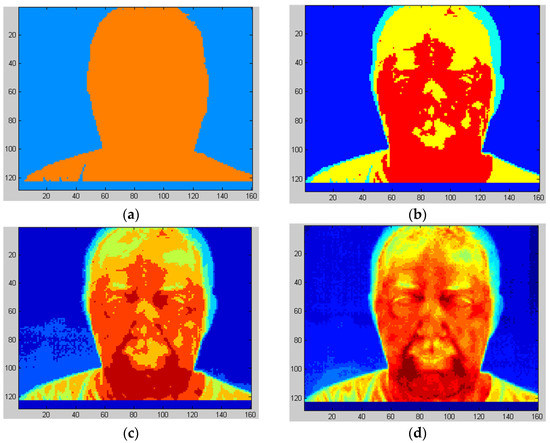 Thermal Biometric Features for Drunk Person Identification Using Multi ...