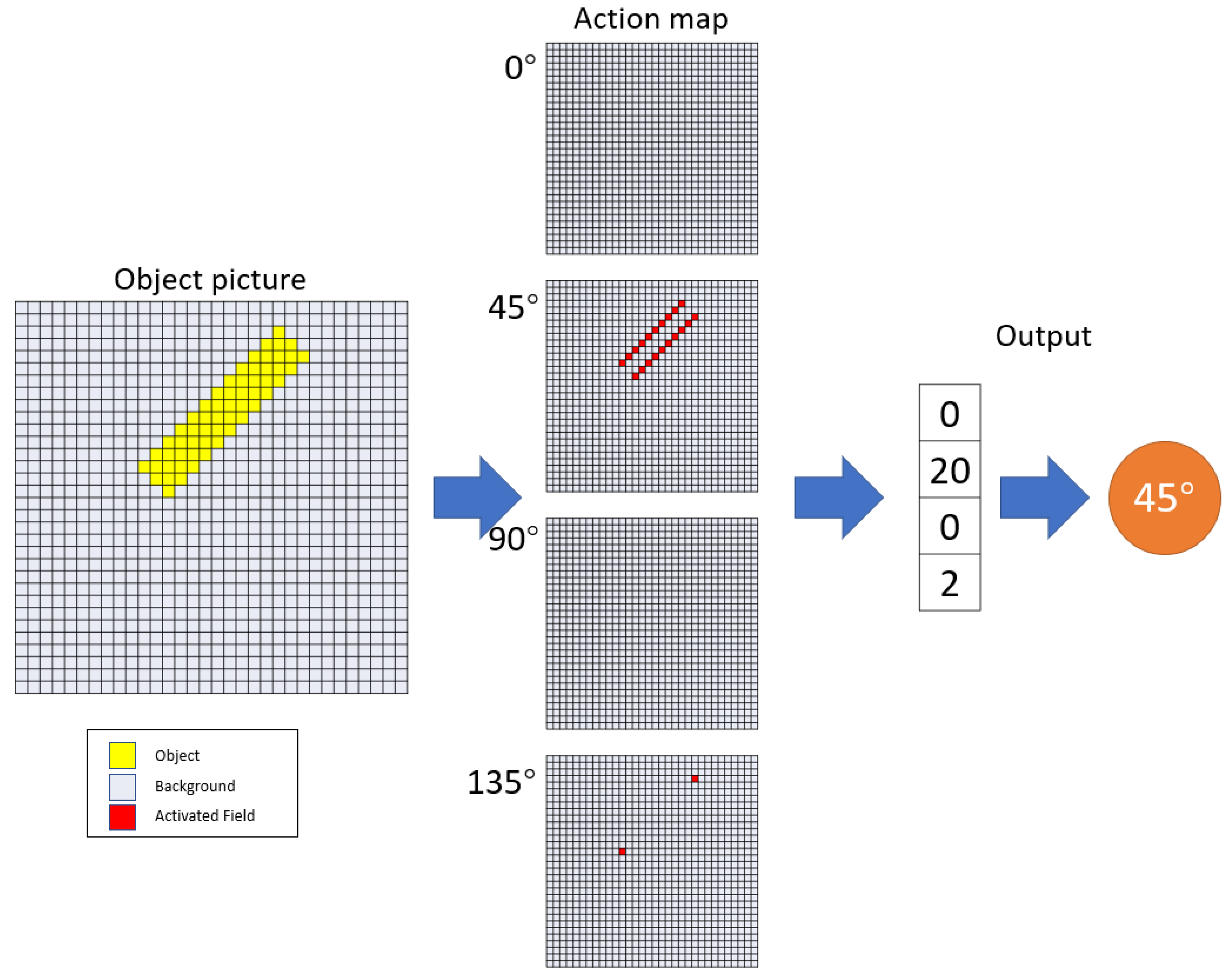 Orientation Detection System Based on Edge-Orientation Selective Neurons