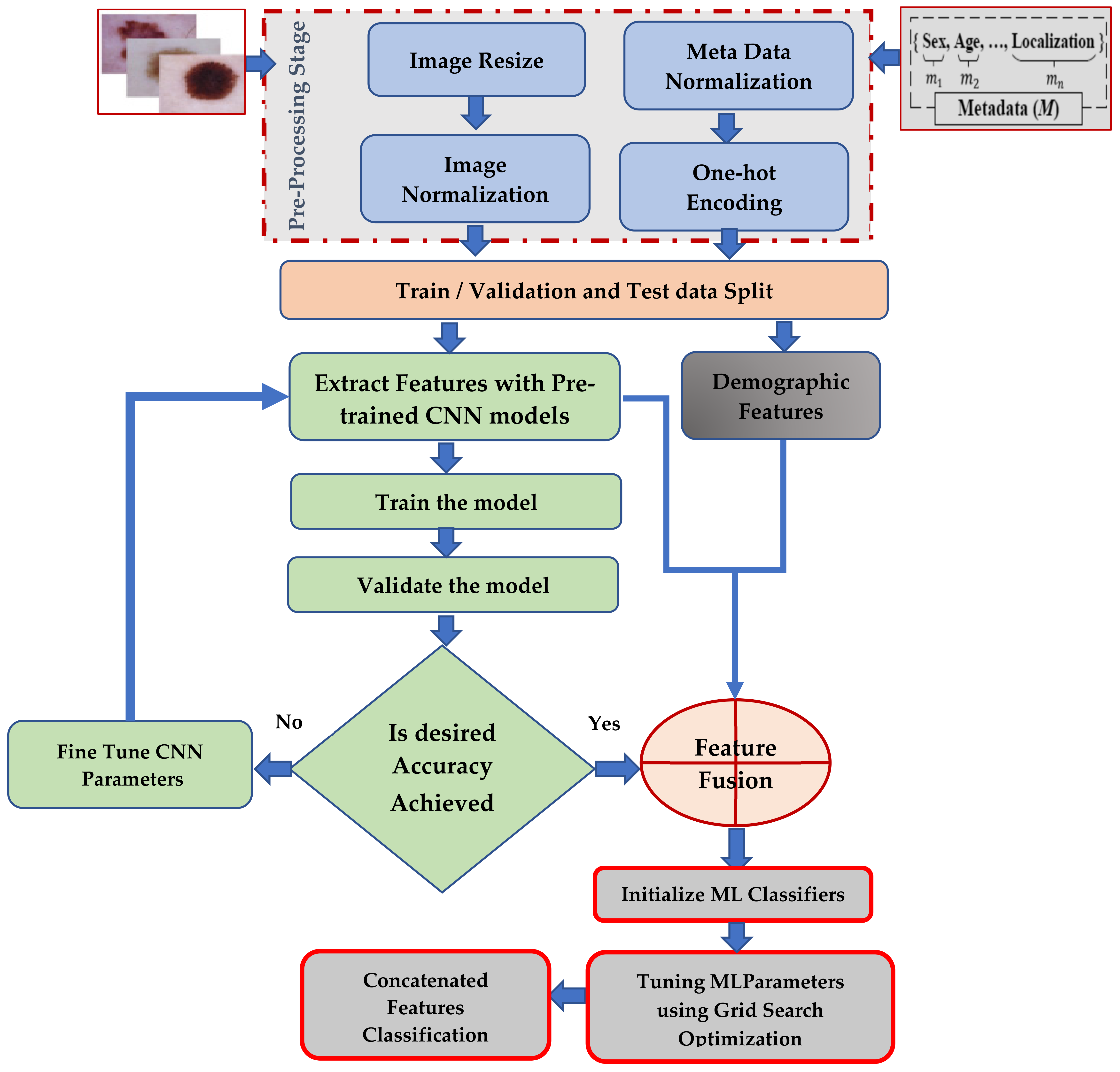 Electronics | Free Full-Text | Computer-Aided Diagnosis for Early Signs ...