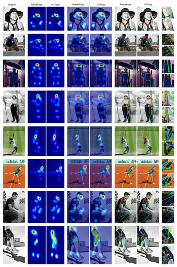 RefinePose: Towards More Refined Human Pose Estimation