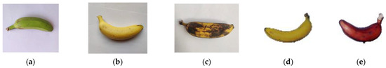 Prediction of Fruit Maturity, Quality, and Its Life Using Deep Learning Algorithms