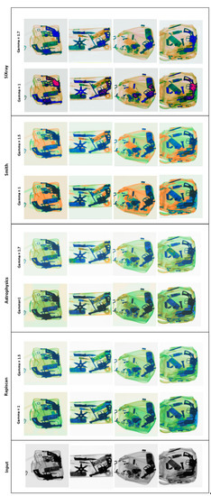 Electronics | Free Full-Text | Single Energy X-ray Image Colorization ...