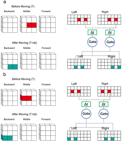 An Artificial Visual System for Three Dimensional Motion Direction Detection
