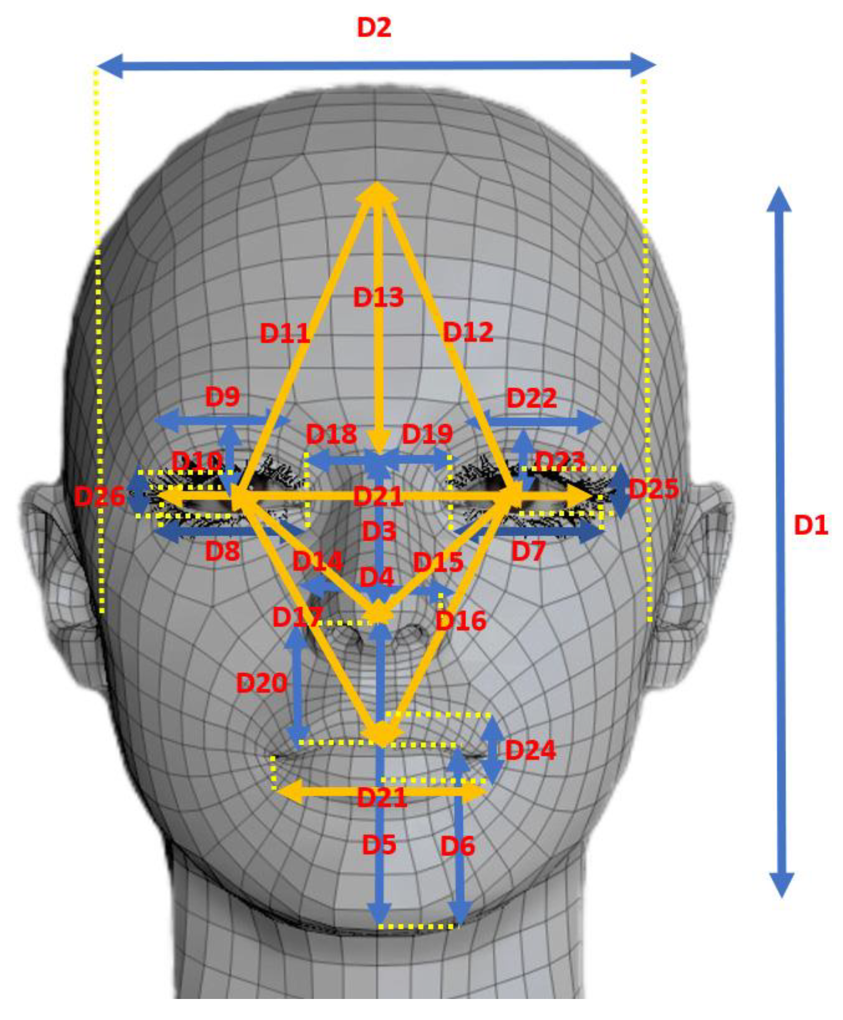 Electronics | Free Full-Text | Beauty in the Eyes of Machine: A Novel ...