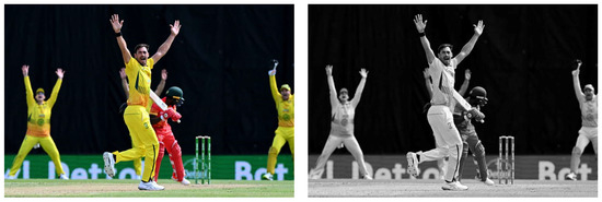 A Player-Specific Framework for Cricket Highlights Generation Using ...