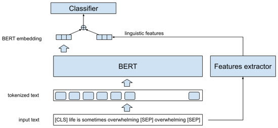 Combining Transformer Embeddings with Linguistic Features for Complex Word Identification