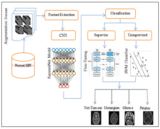 A Novel Approach for Classifying Brain Tumours Combining a SqueezeNet ...