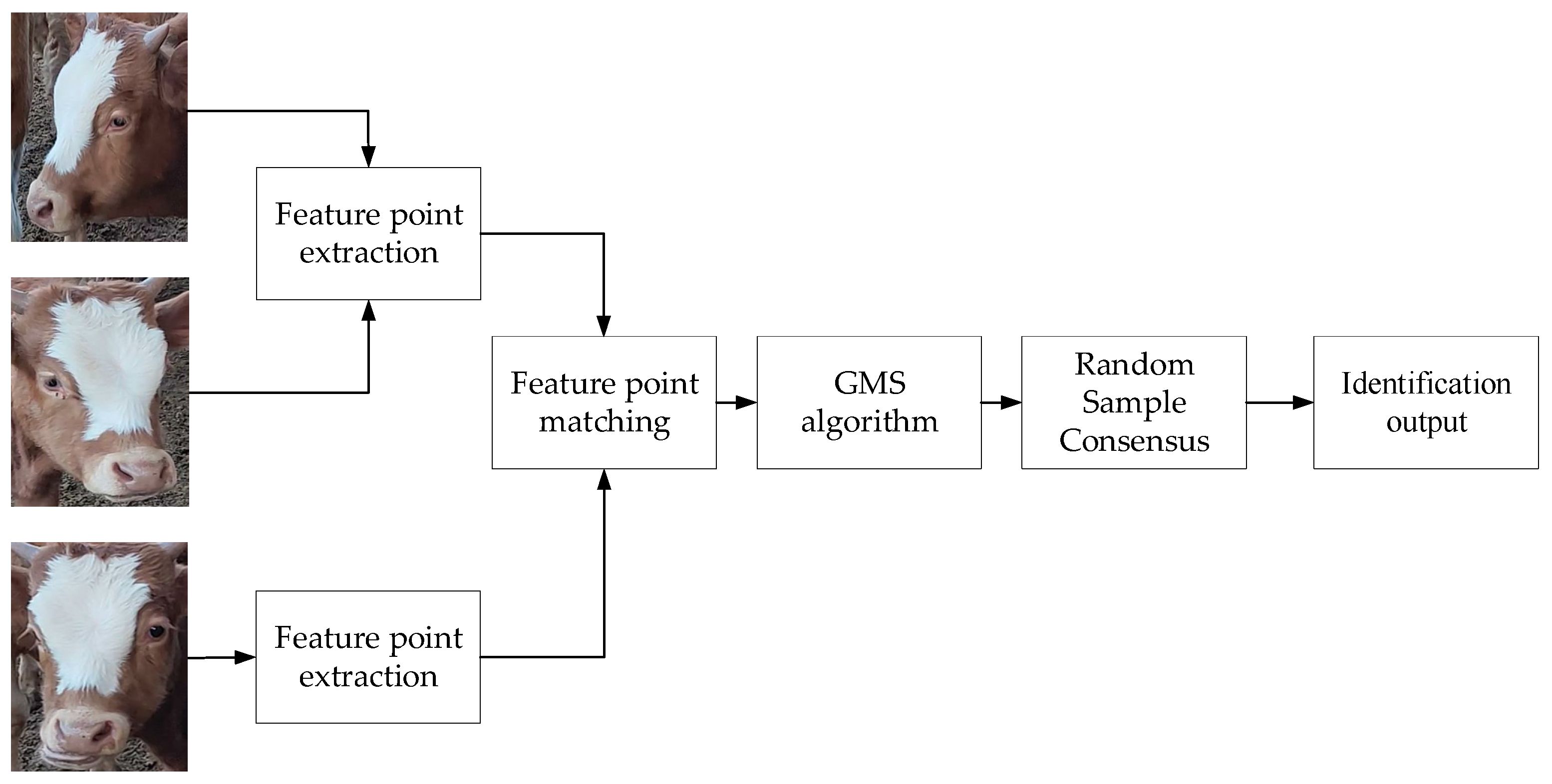 Cattle Facial Matching Recognition Algorithm Based on Multi-View Feature Fusion