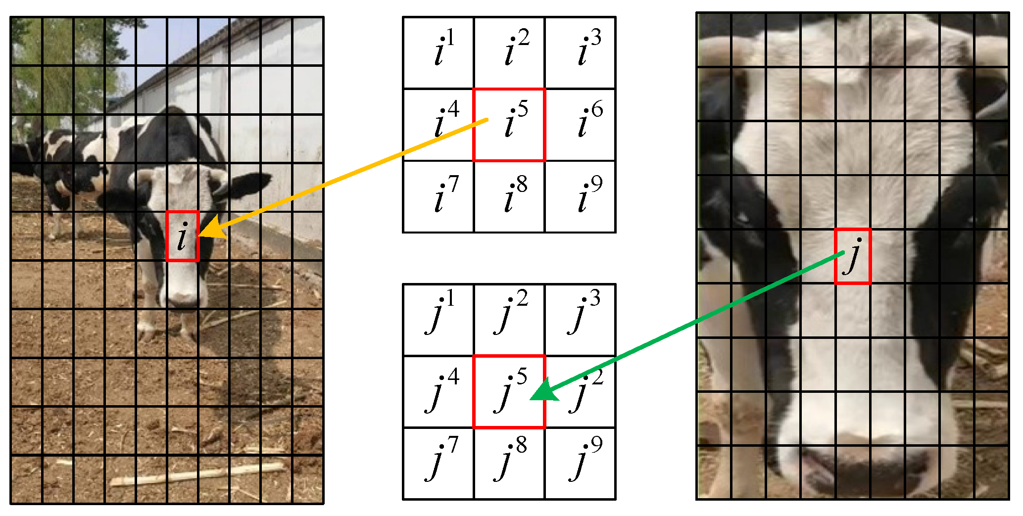 Cattle Facial Matching Recognition Algorithm Based on Multi-View Feature Fusion