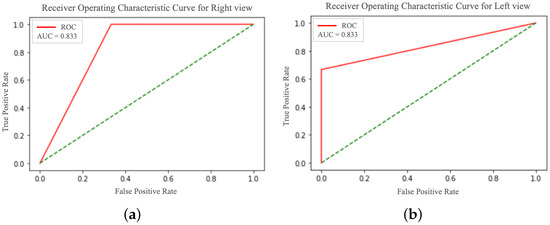 Deep Learning-Based Approaches for Classifying Foraminal Stenosis Using Cervical Spine Radiographs