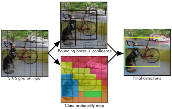 Intelligent Computer Vision System for Analysis and Characterization of ...