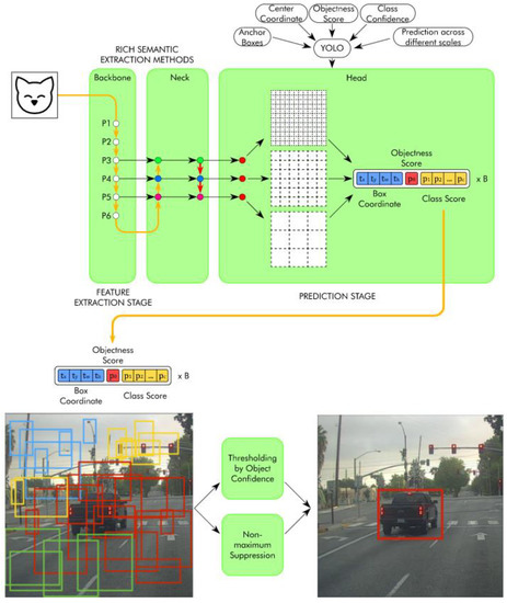 Intelligent Computer Vision System for Analysis and Characterization of ...