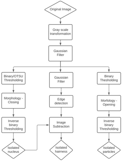 Intelligent Computer Vision System for Analysis and Characterization of ...