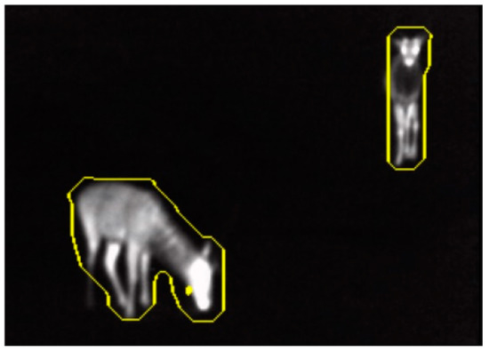 Comparison of Different Methods of Animal Detection and Recognition on ...