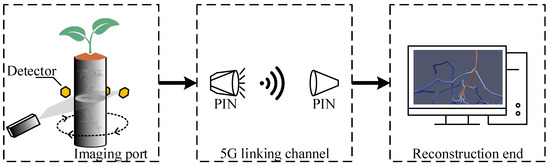 Research on High-Throughput Crop Root Phenotype 3D Reconstruction Using X-ray CT in 5G Era