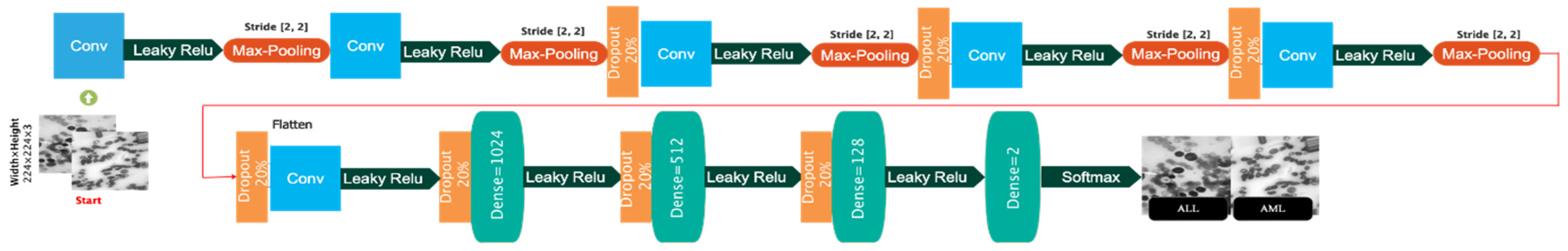 A Customized Efficient Deep Learning Model for the Diagnosis of Acute ...