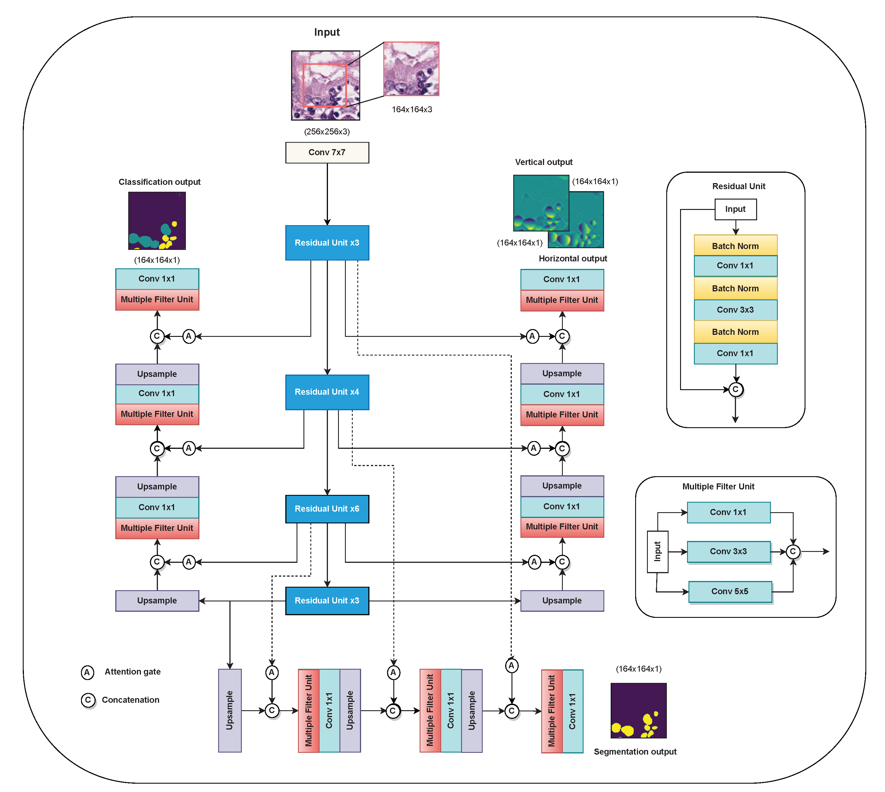 Mulvernet: Nucleus Segmentation and Classification of Pathology Images Using the HoVer-Net and ...
