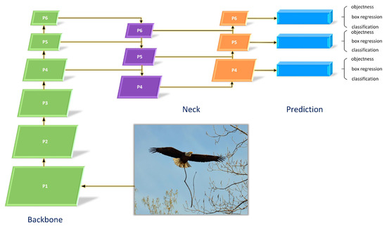 Wildlife Object Detection Method Applying Segmentation Gradient Flow and Feature Dimensionality ...