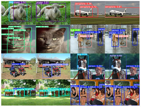 Wildlife Object Detection Method Applying Segmentation Gradient Flow and Feature Dimensionality ...