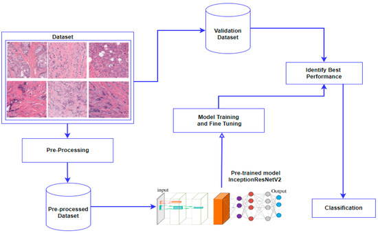 Framework for Detecting Breast Cancer Risk Presence Using Deep Learning