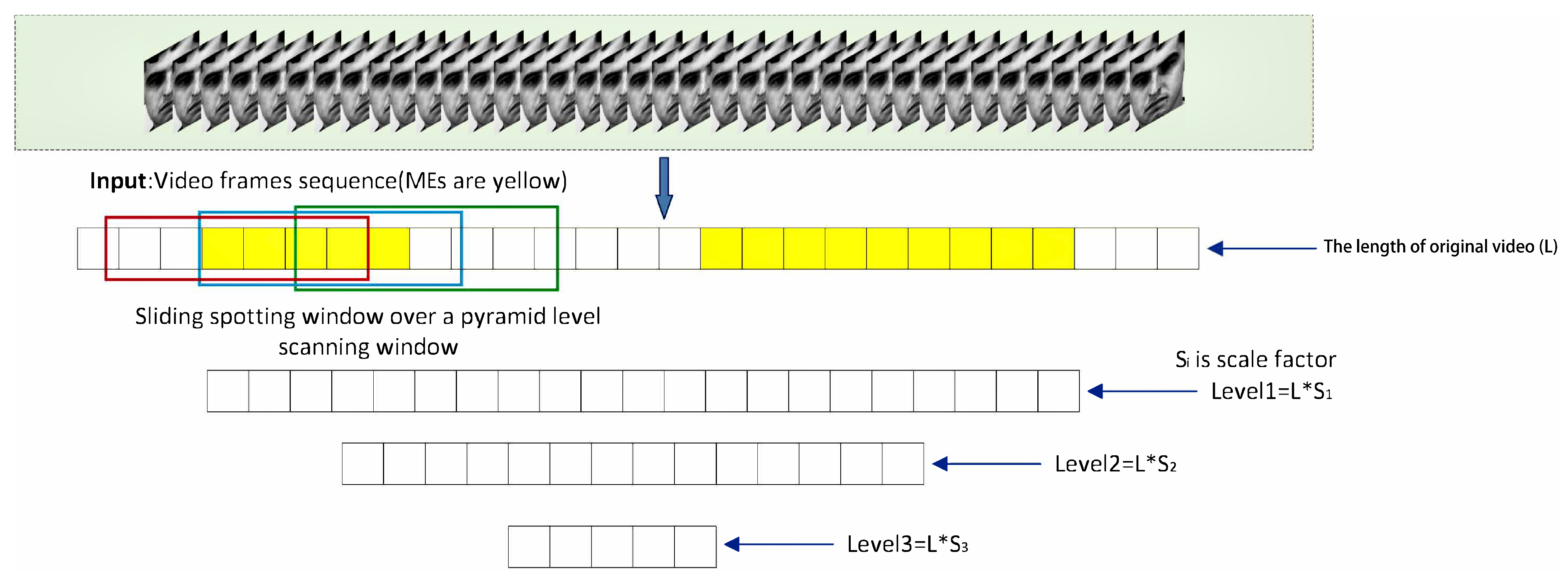 Electronics | Free Full-Text | Micro-Expression Spotting Based on a Short-Duration Prior and ...