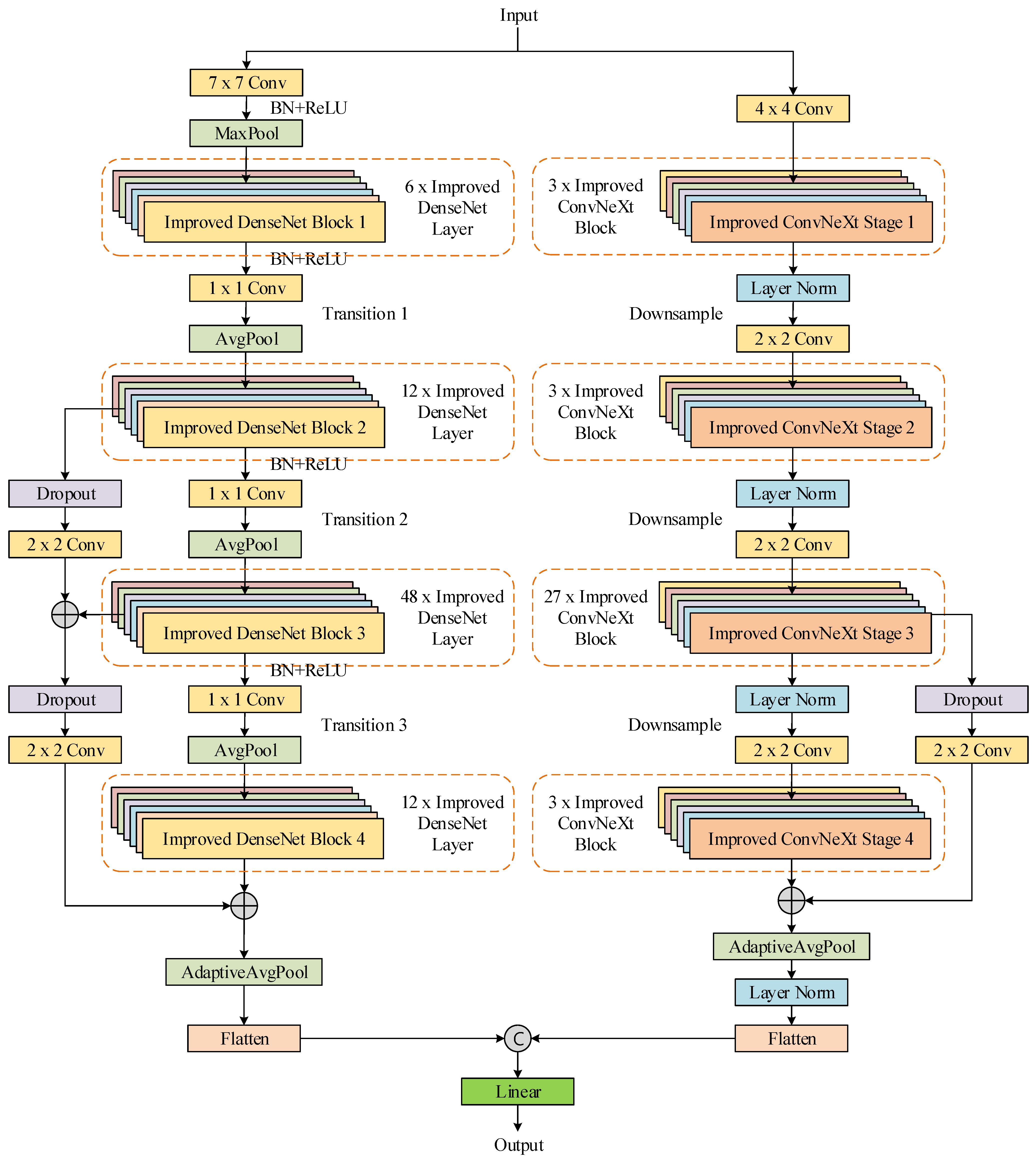 Electronics | Free Full-Text | A Skin Disease Classification Model Based on DenseNet and ...