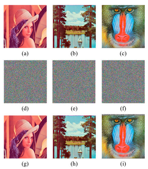 A Novel Image Encryption Algorithm Based on Multiple Random DNA Coding and Annealing