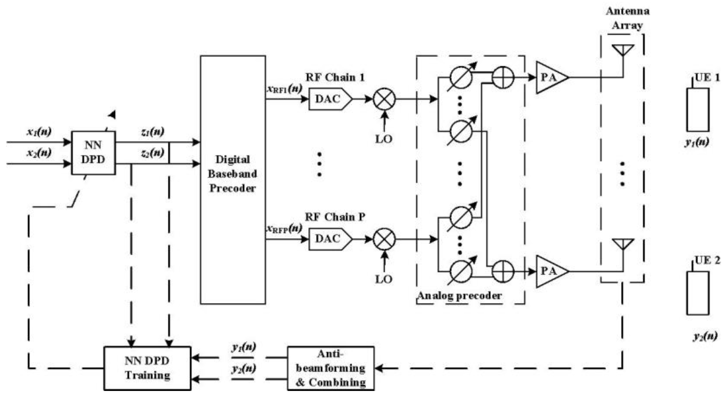 Efficient Neural Network DPD Architecture for Hybrid Beamforming mMIMO