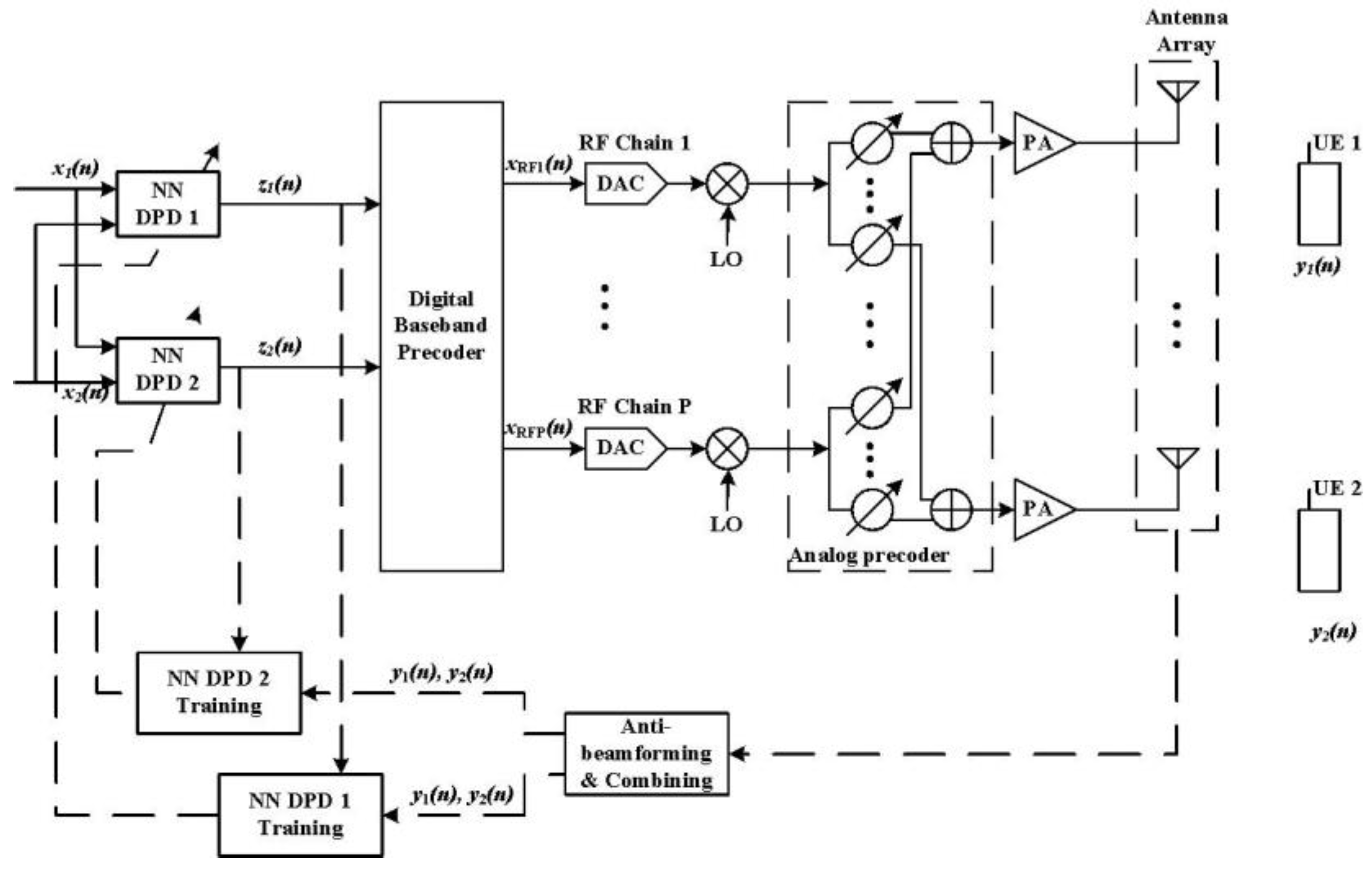 Efficient Neural Network DPD Architecture for Hybrid Beamforming mMIMO