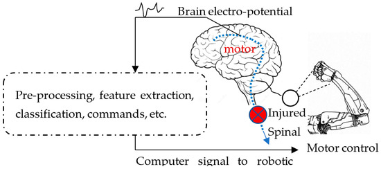 Functional Mapping of the Brain for Brain–Computer Interfacing: A Review