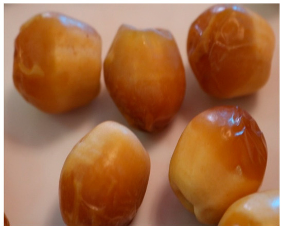 A Novel Classification Model of Date Fruit Dataset Using Deep Transfer Learning