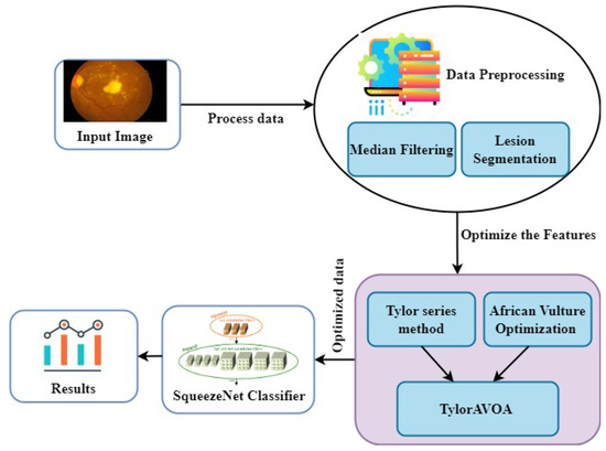 Diabetic Retinopathy Detection: A Blockchain and African Vulture ...
