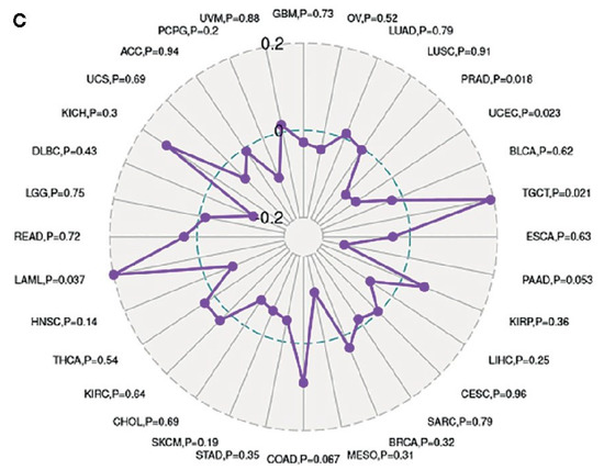 Research Progress of Tumor Big Data Visualization