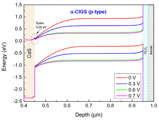 Modeling and Investigation of Rear-Passivated Ultrathin CIGS Solar Cell