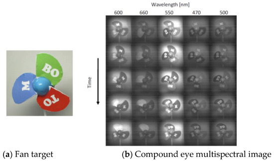The Development of Snapshot Multispectral Imaging Technology Based on ...