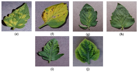 Design of Efficient Methods for the Detection of Tomato Leaf Disease ...