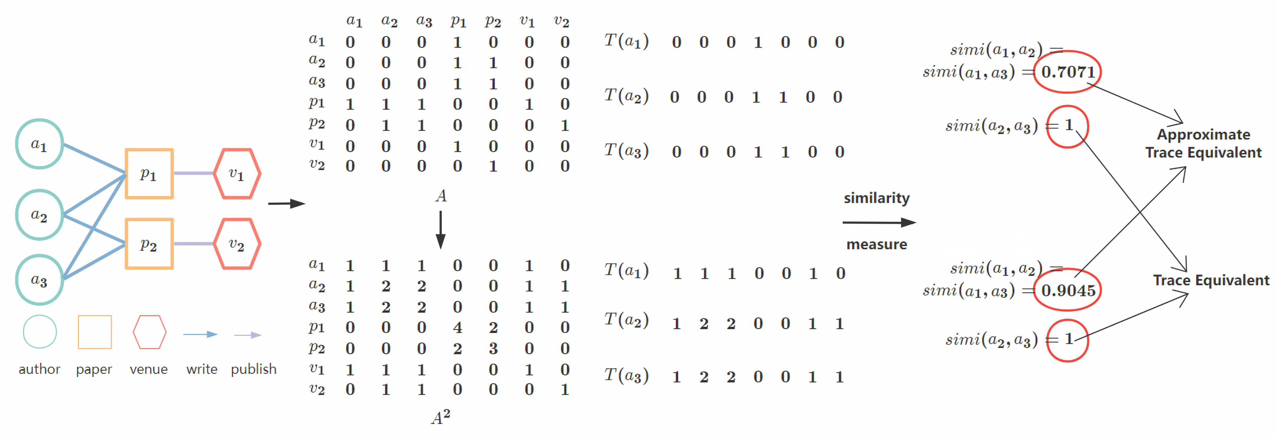 Investigating Trace Equivalences In Information Networks