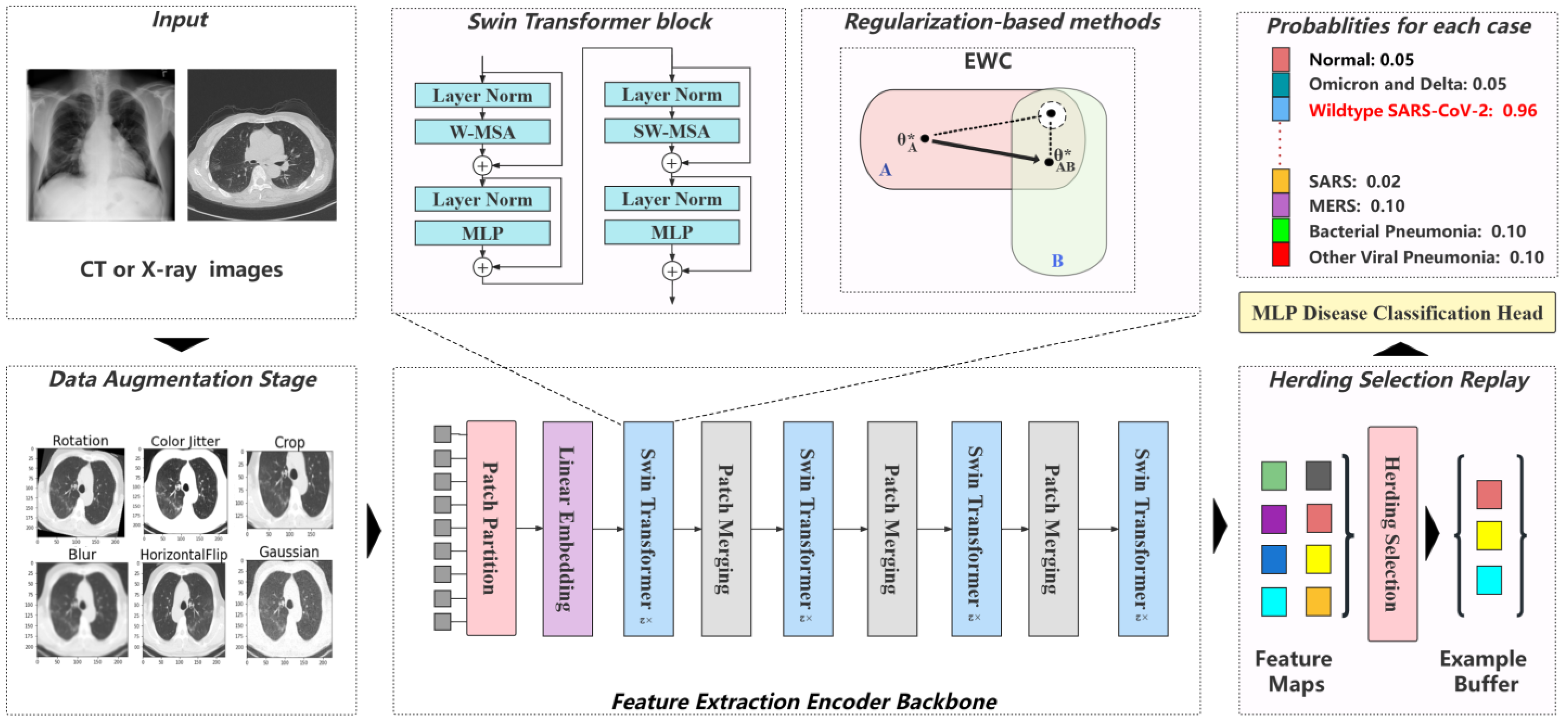 CoroTrans-CL: A Novel Transformer-Based Continual Deep Learning Model for Image Recognition of ...