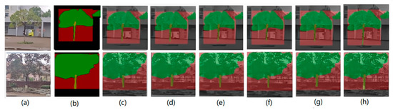 The Semantic Segmentation of Standing Tree Images Based on the Yolo V7 ...