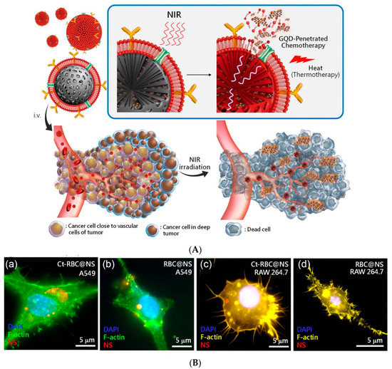 Hybrid Quantum Dot as Promising Tools for Theranostic Application in Cancer