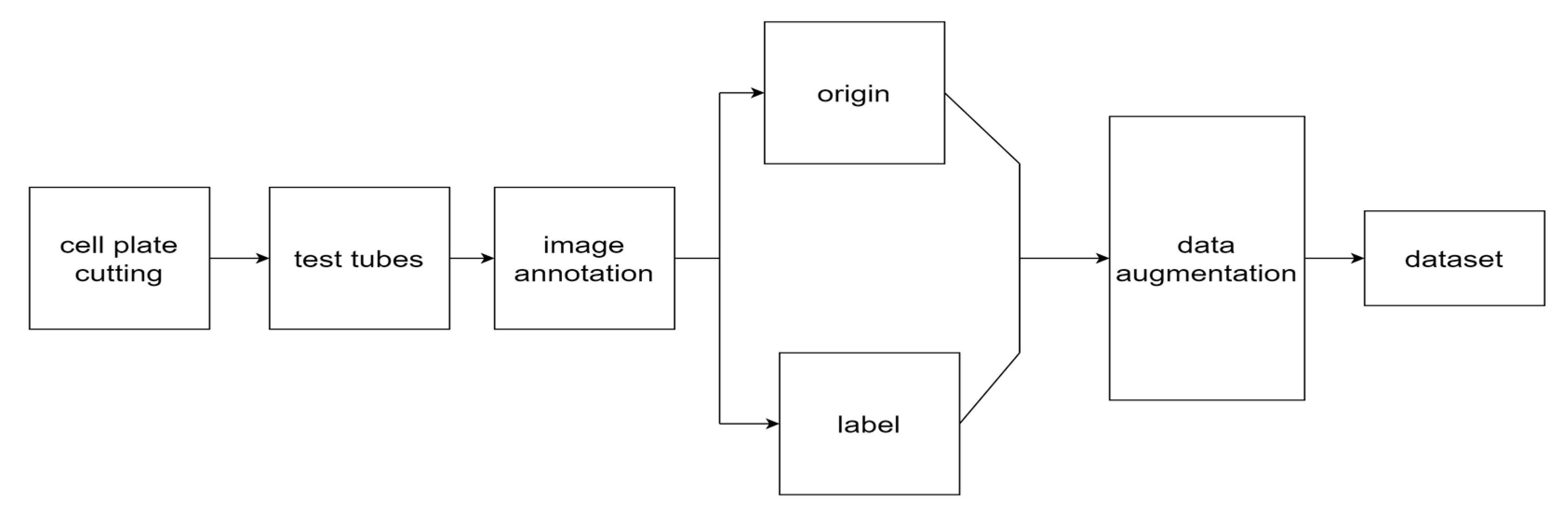 Electronics | Free Full-Text | A Novel Hybridoma Cell Segmentation ...