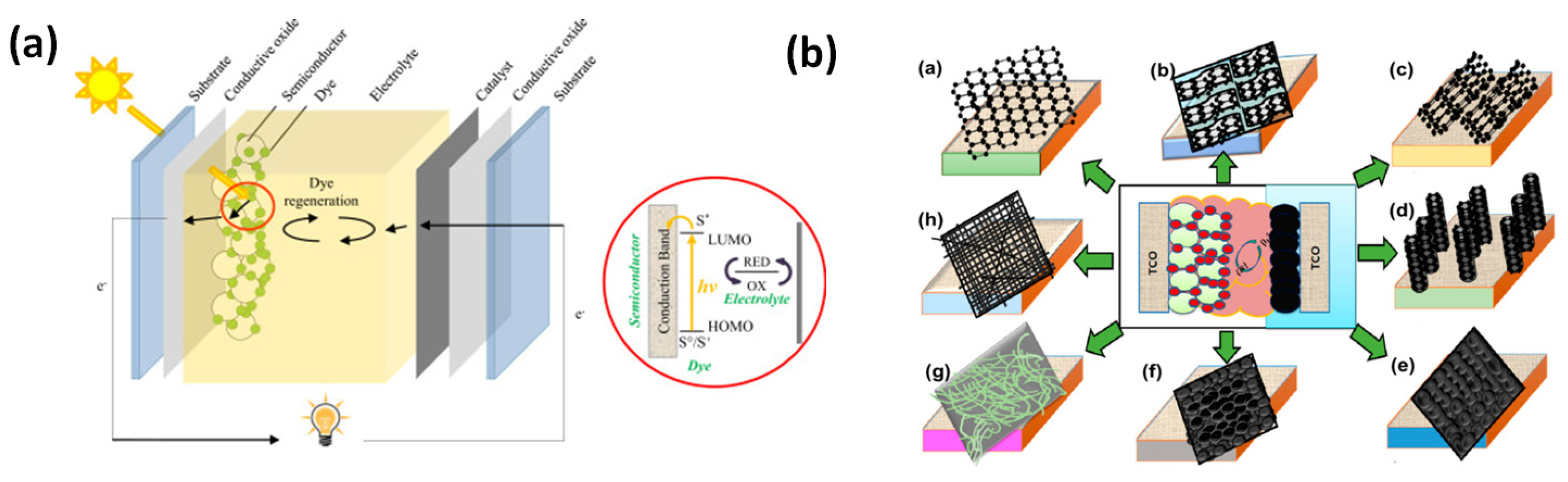 Carbon Electrodes: The Rising Star for PSC Commercialization