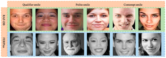 Fine-Grained Facial Expression Recognition in Multiple Smiles