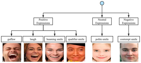 Fine-Grained Facial Expression Recognition in Multiple Smiles
