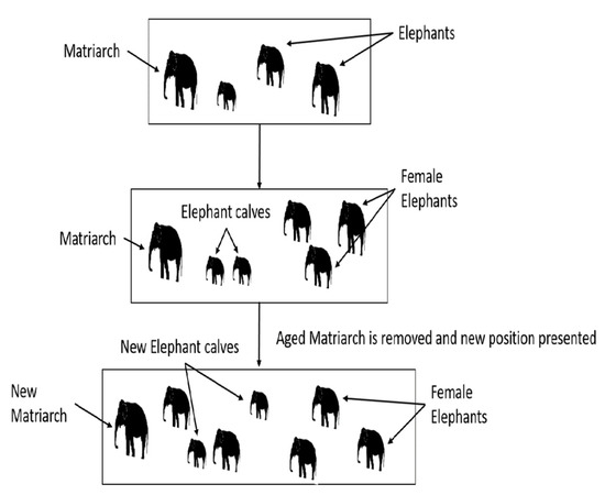 Hyperspectral Image Classification with Deep CNN Using an Enhanced Elephant Herding Optimization ...