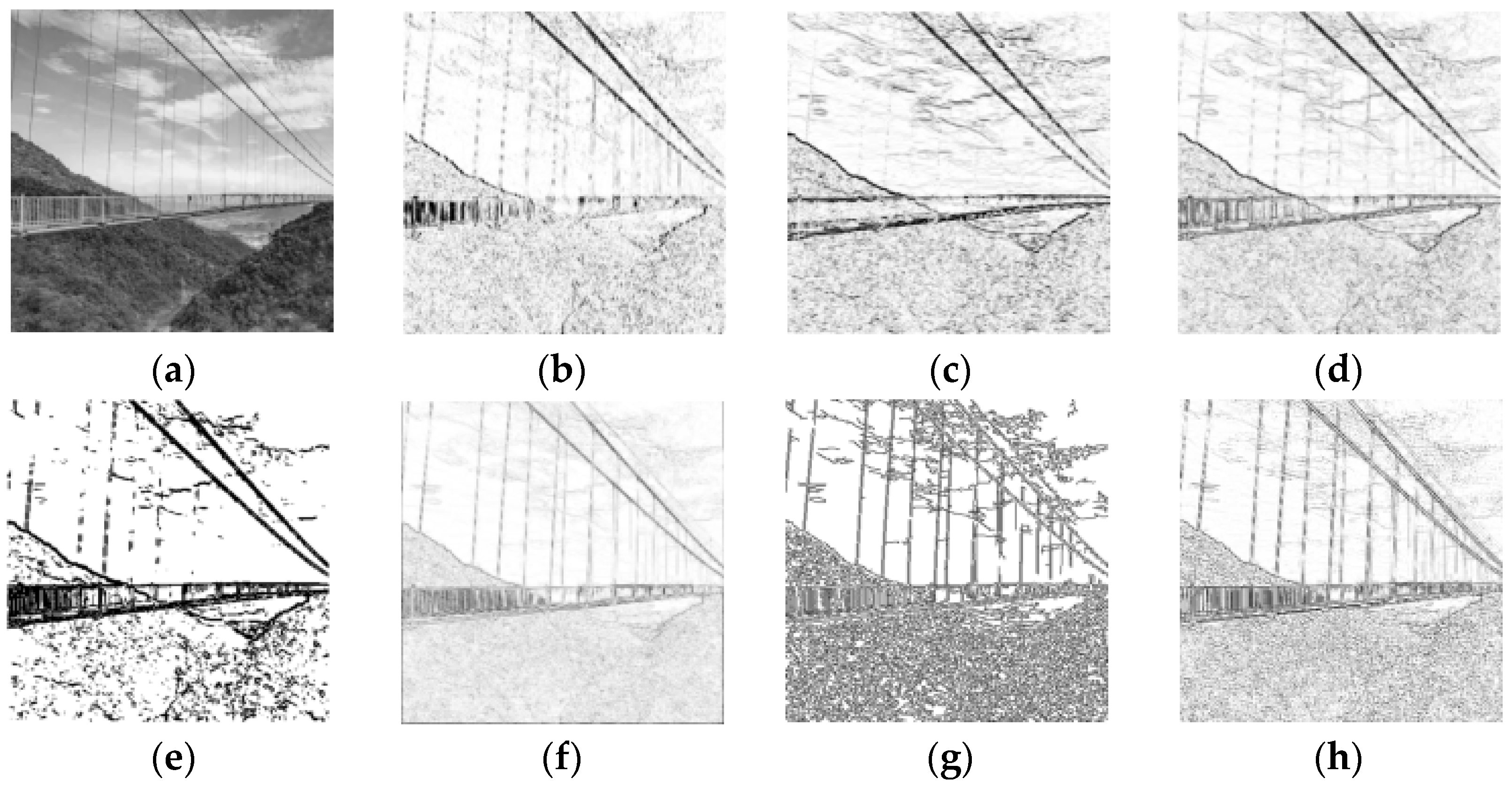 Techniques and Challenges of Image Segmentation: A Review